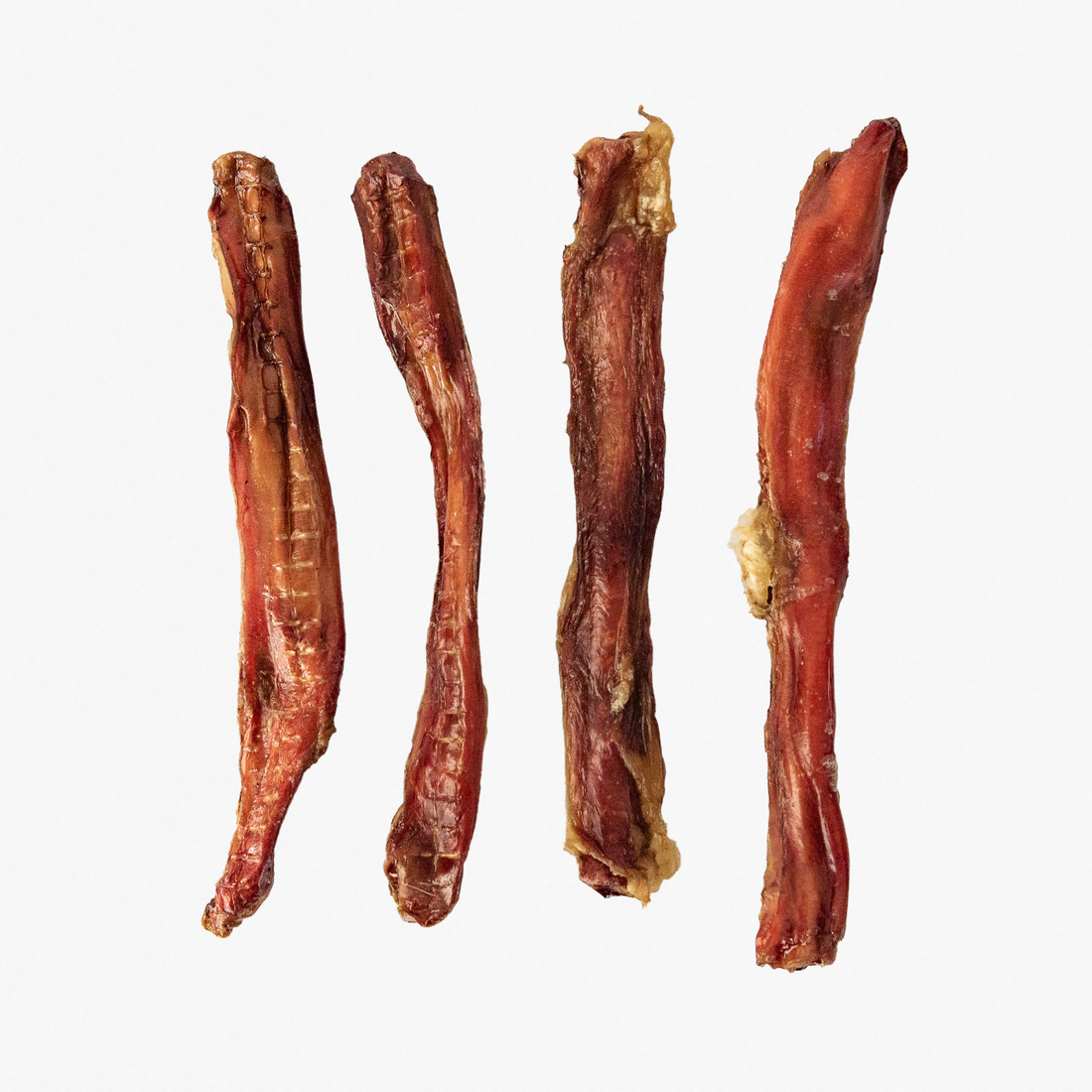 Dehydrated Beef Pizzle – Wild n Fresh Treats