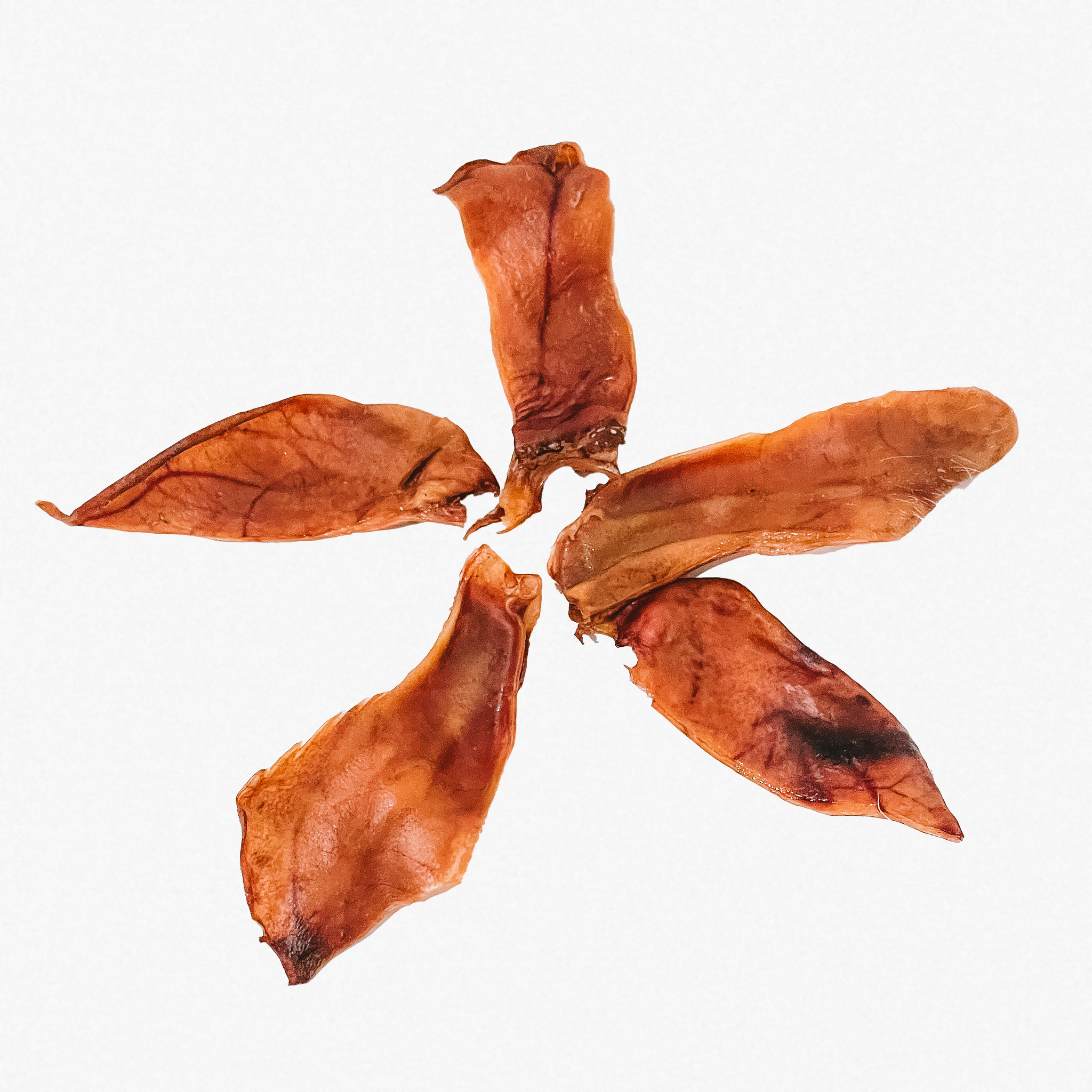 Dehydrated Pork Ears (Sliced) – Wild n Fresh Treats