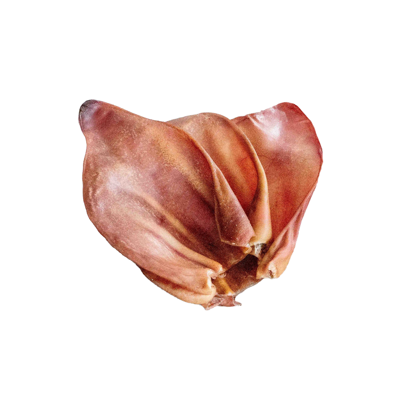 Dehydrated Pork Ears – Wild n Fresh Treats