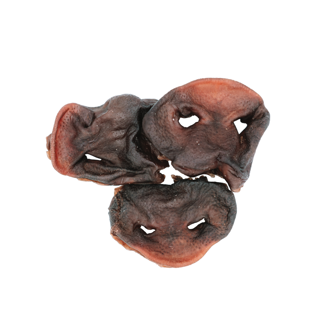 Dehydrated Pork Snouts – Wild n Fresh Treats