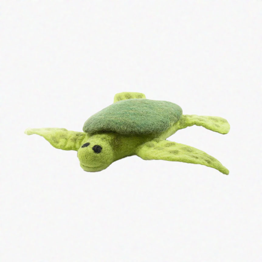 Trevor the Sea Turtle Eco Toy - Earth Month – Wild n Fresh Treats