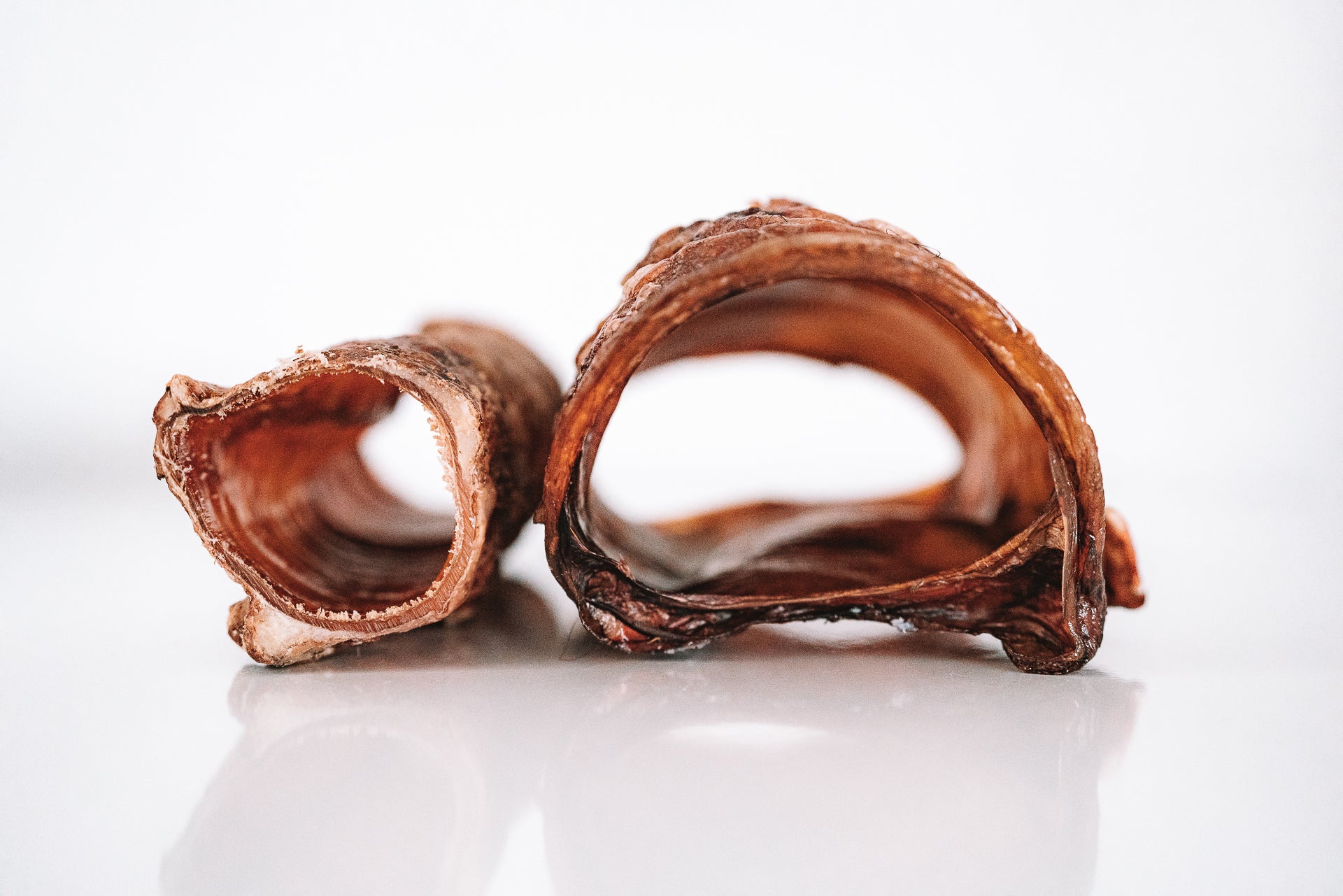 Dehydrated Bison Trachea – Wild n Fresh Treats