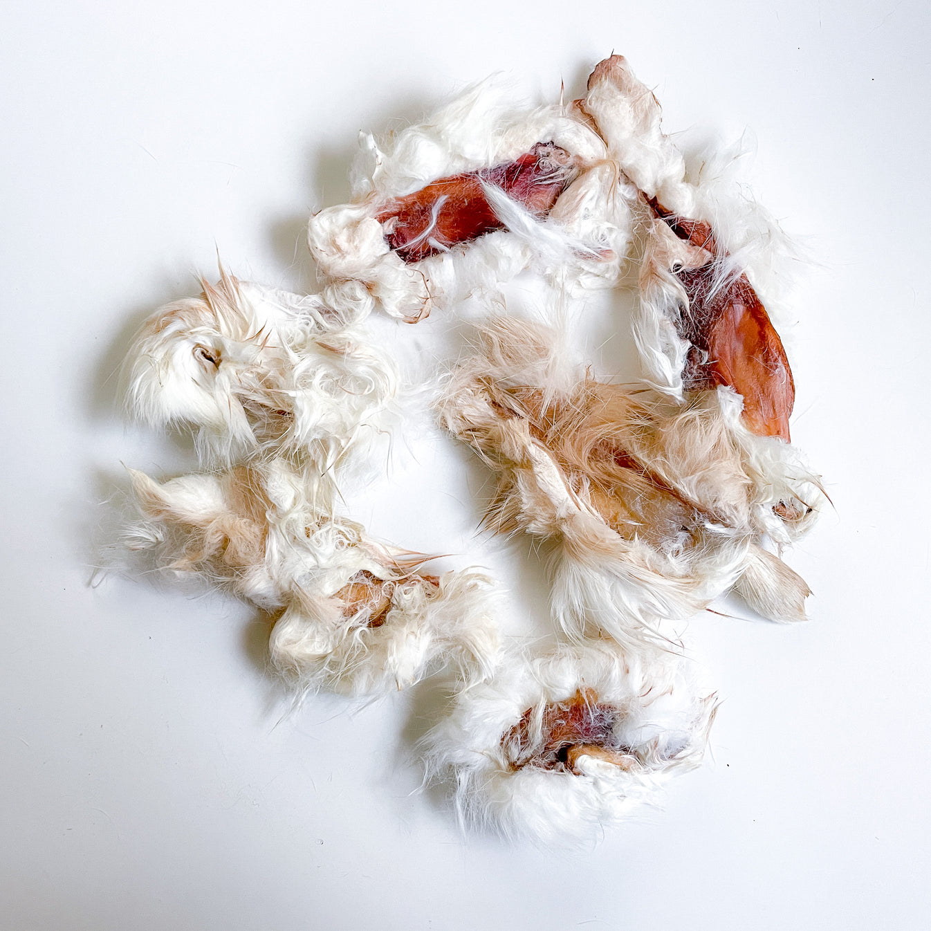 Dehydrated Rabbit Hide – Wild n Fresh Treats