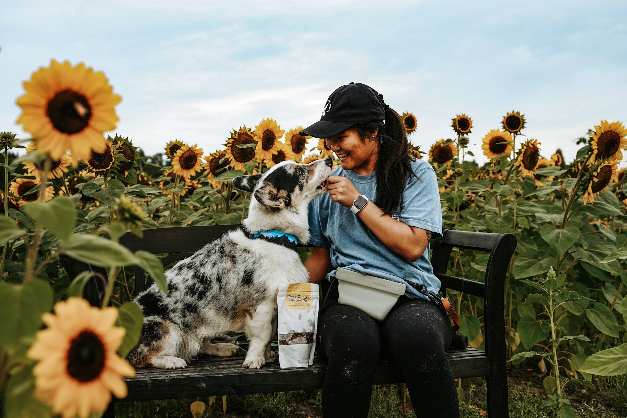 Voila Pets Ultimate Treat Pouch - Standard 16 oz – Wild n Fresh Treats