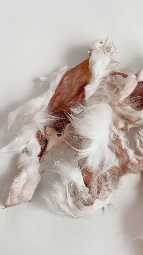 Dehydrated Rabbit Hide Chips – Wild n Fresh Treats