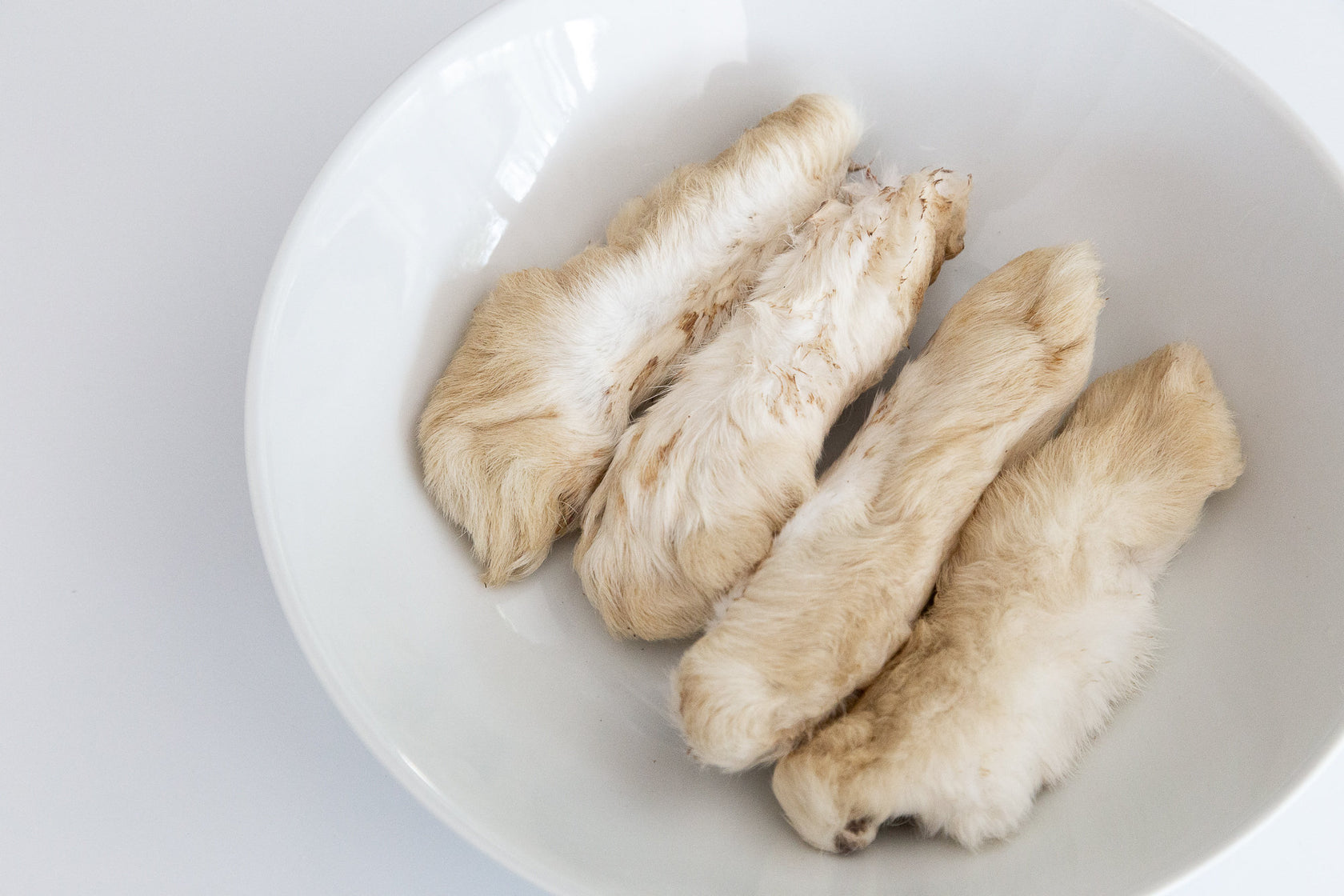 Dehydrated Rabbit Feet – Wild n Fresh Treats